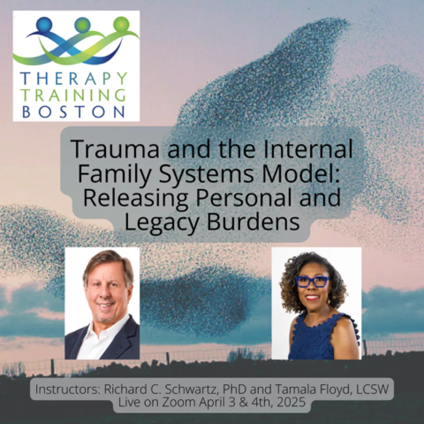 What is Internal Family Systems? | IFS Institute